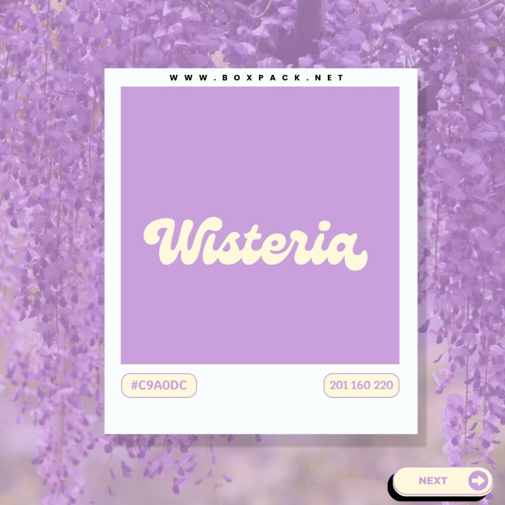 BEST COLOR COMBINATION 2025 – Boxpack