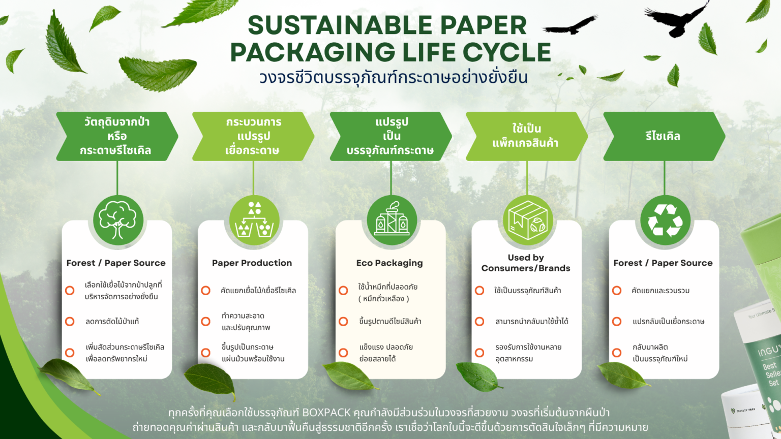 รู้มั้ย? กระดาษ 1 แผ่น ไม่ได้มีชีวิตแค่ครั้งเดียว – Boxpack