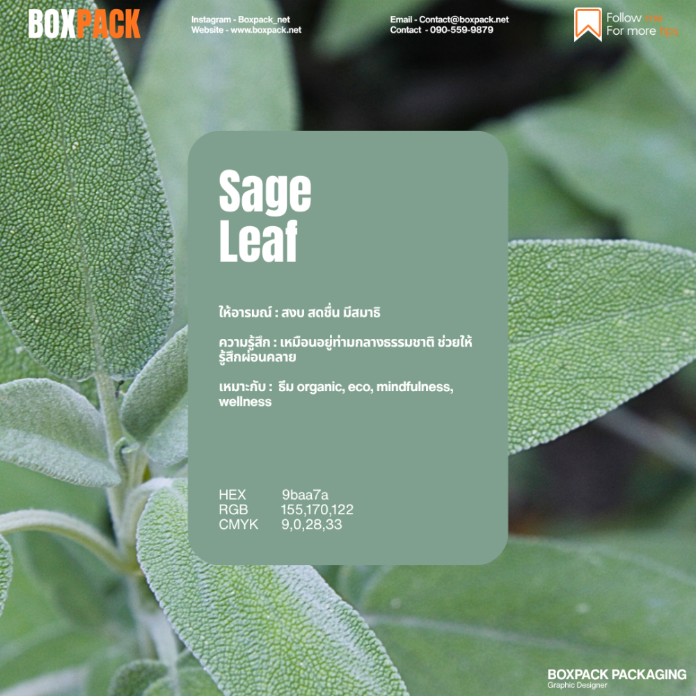 “PICK COLORS FOR YOUR UPCOMING DESIGNS” – Boxpack